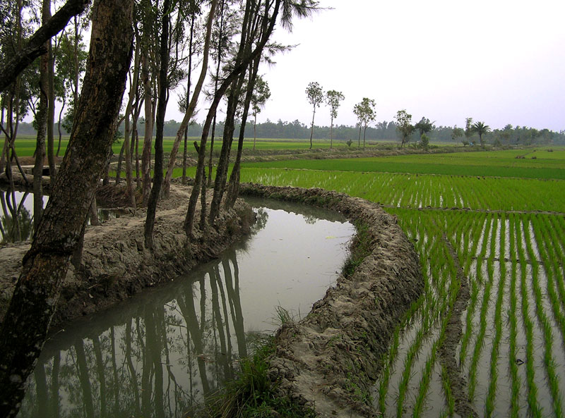 NABARD sanctions micro irrigation projects worth Rs 3,805 cr ...