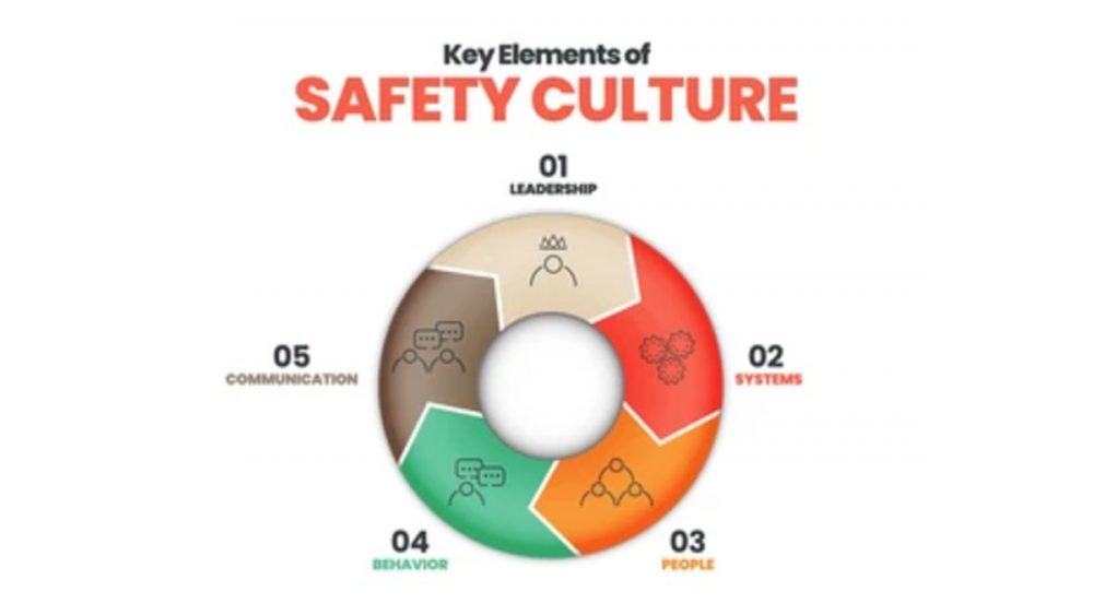 Safety Culture Export To Excel at Stanley Blake blog
