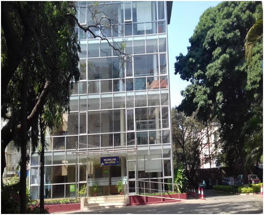 Pidilite Offices in India: Locations, Key Functions, and Operations