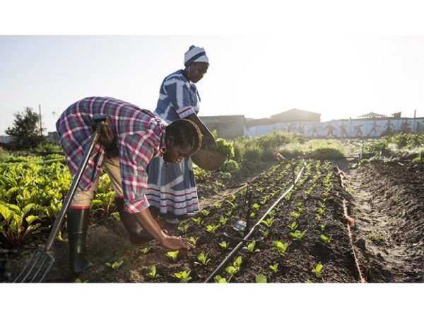 Innovative solutions for sustainable land management - Construction ...