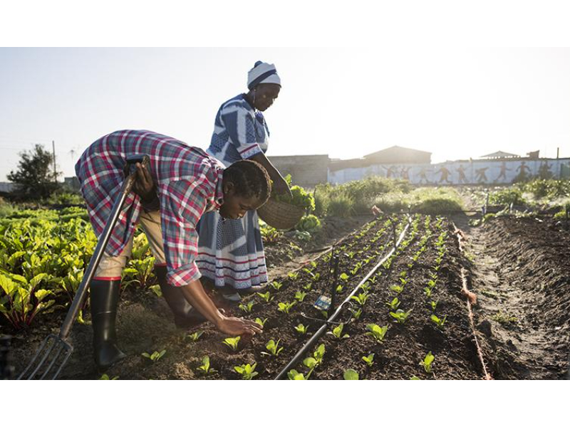 Innovative solutions for sustainable land management - Construction ...