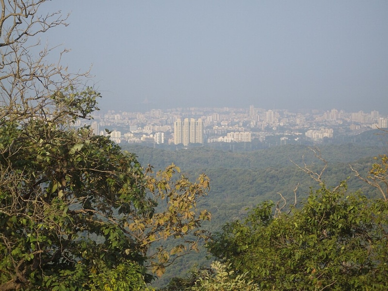 Borivali: An emerging real estate hotspot in Mumbai's west ...