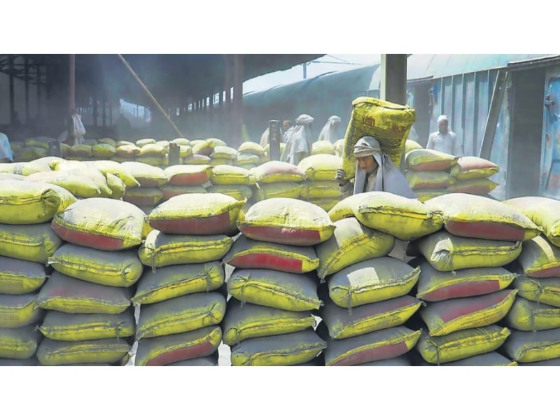 Kaushalya Logistics depot to serve Adani cement cos - Construction Week ...