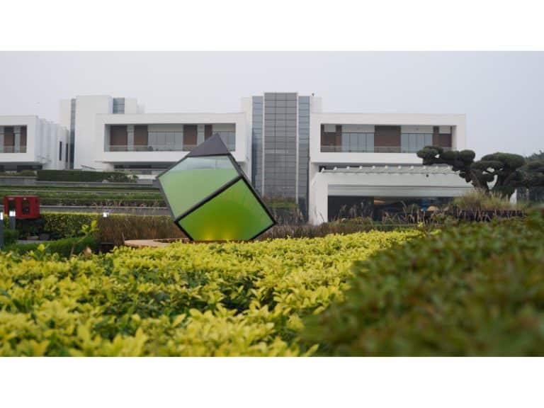 DS Group HQ brings in liquid tree - a sustainable option