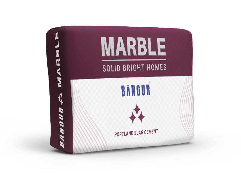 Shree Cement launches premium product through Bangur