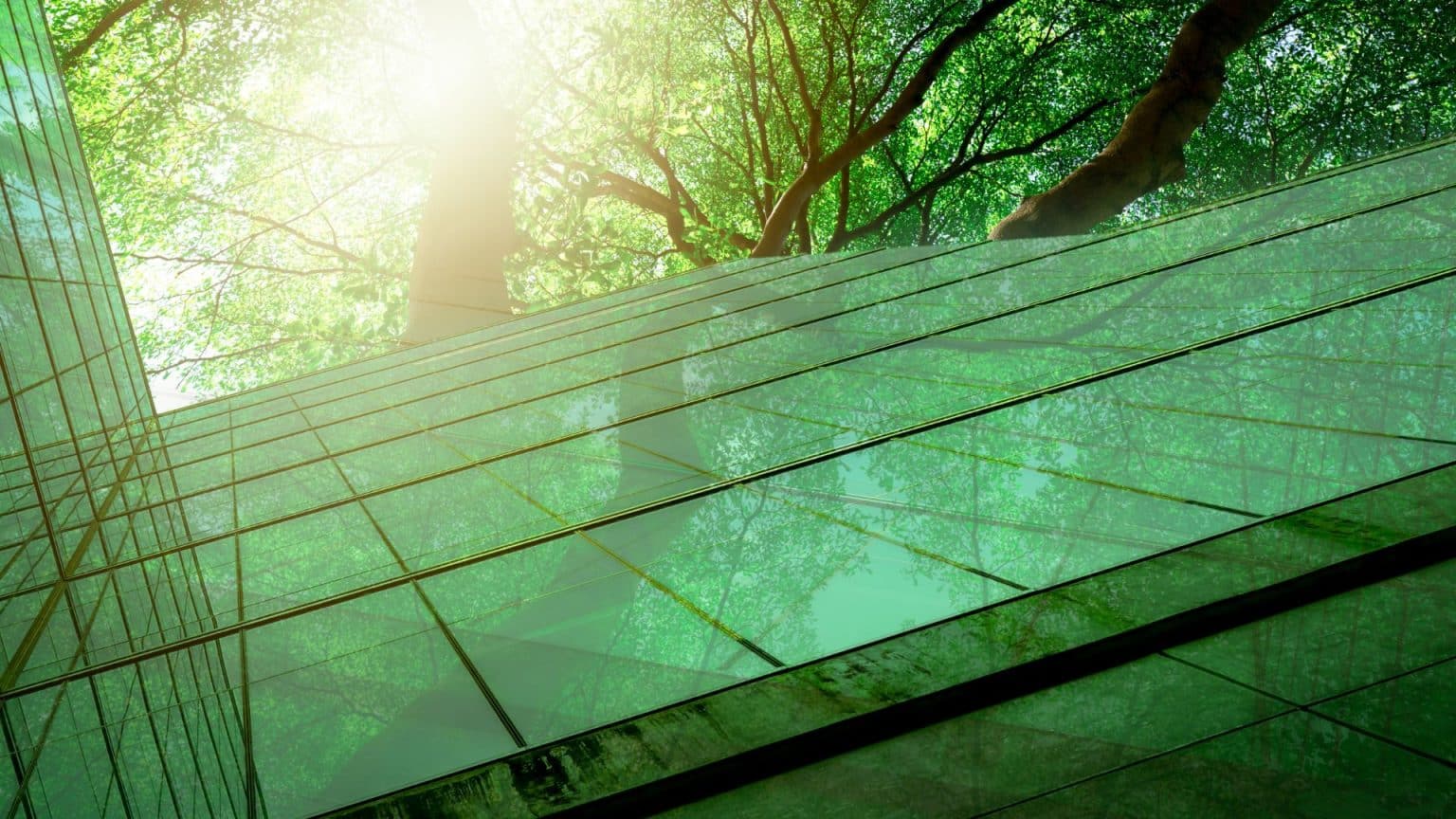 APM Terminals Pipavav signs contracts for liquid jetty