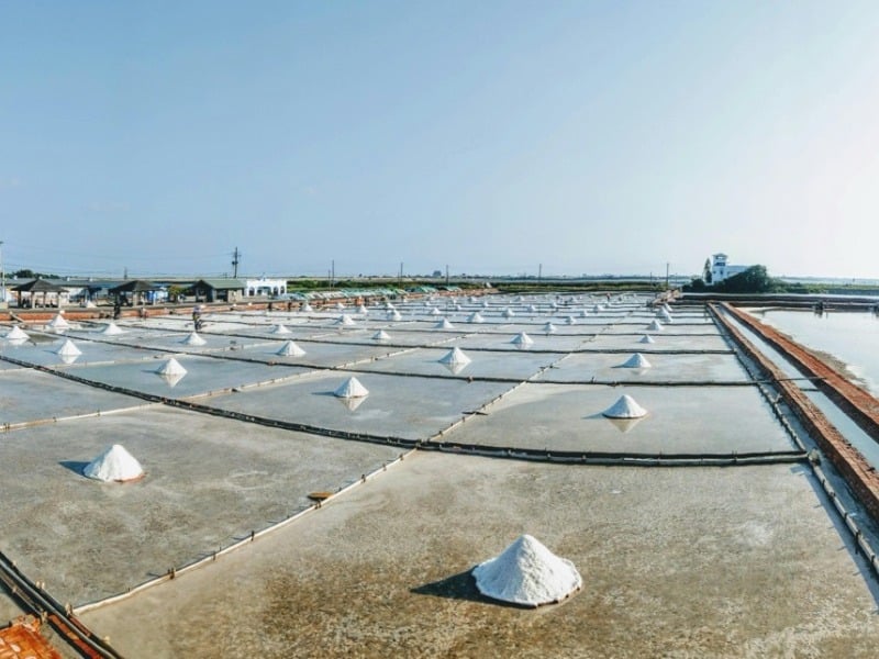 DCM Shriram acquires four salt works for chemicals business